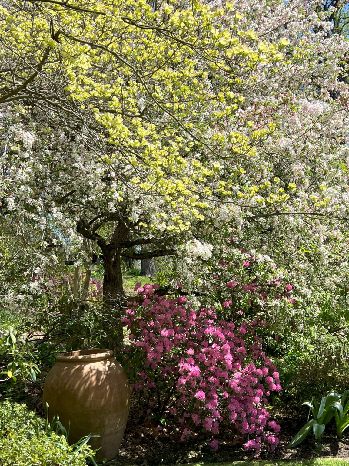 The Historic Gardens - Reeves-Reed Arboretum